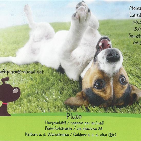 Pluto pet shop