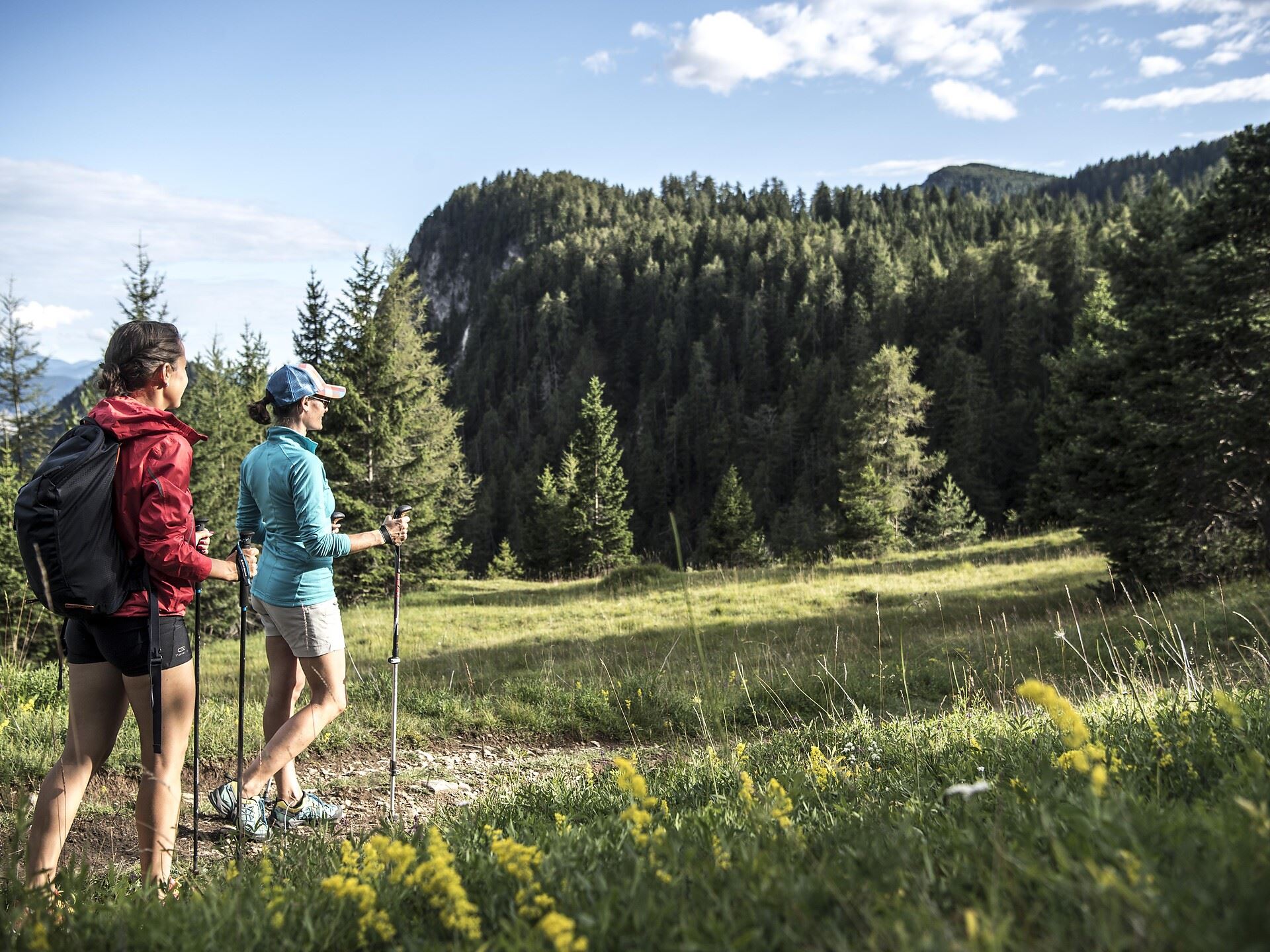 Vom Mendelpass zum Roen